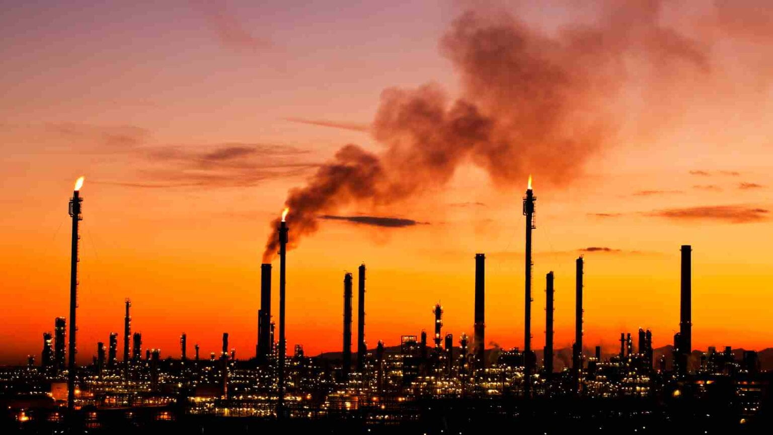 Aquecimento global: Conheça 5 startups com soluções dedicadas a ...